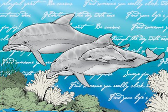 Wisdom Wednesday- Dolphin Awareness Month – Advice For Life