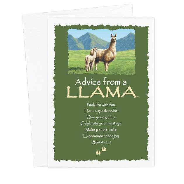 Advice from a Llama Greeting Card – Advice For Life