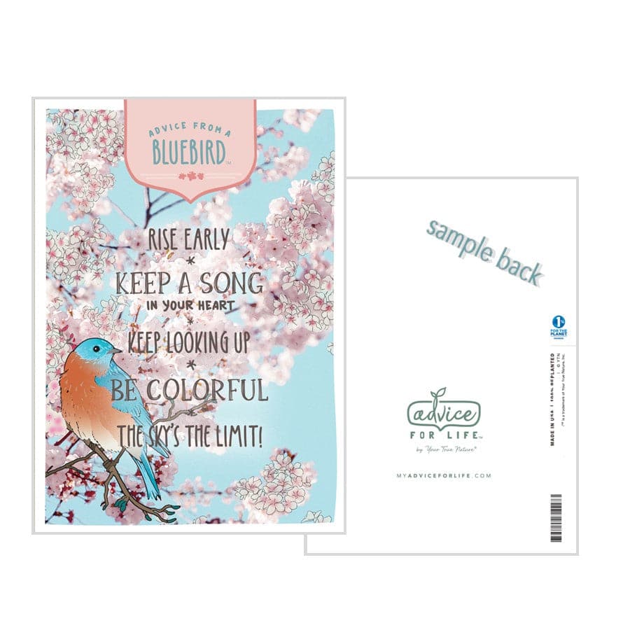 Greeting Cards – Advice For Life