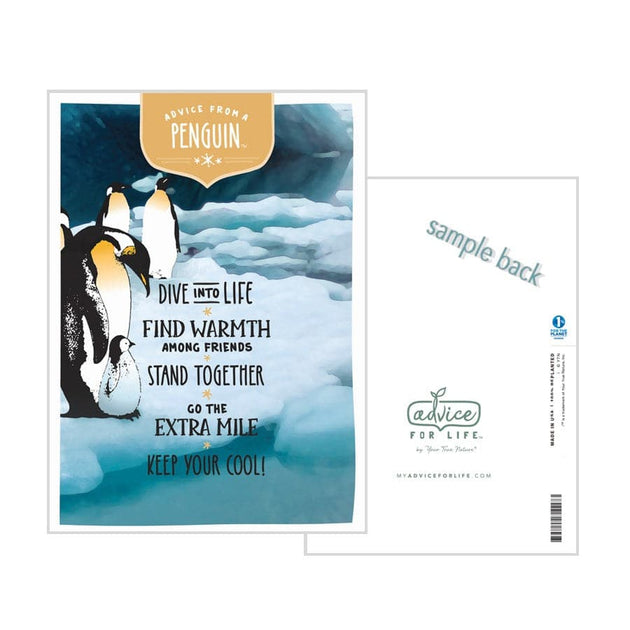 Penguin Collection – Advice For Life