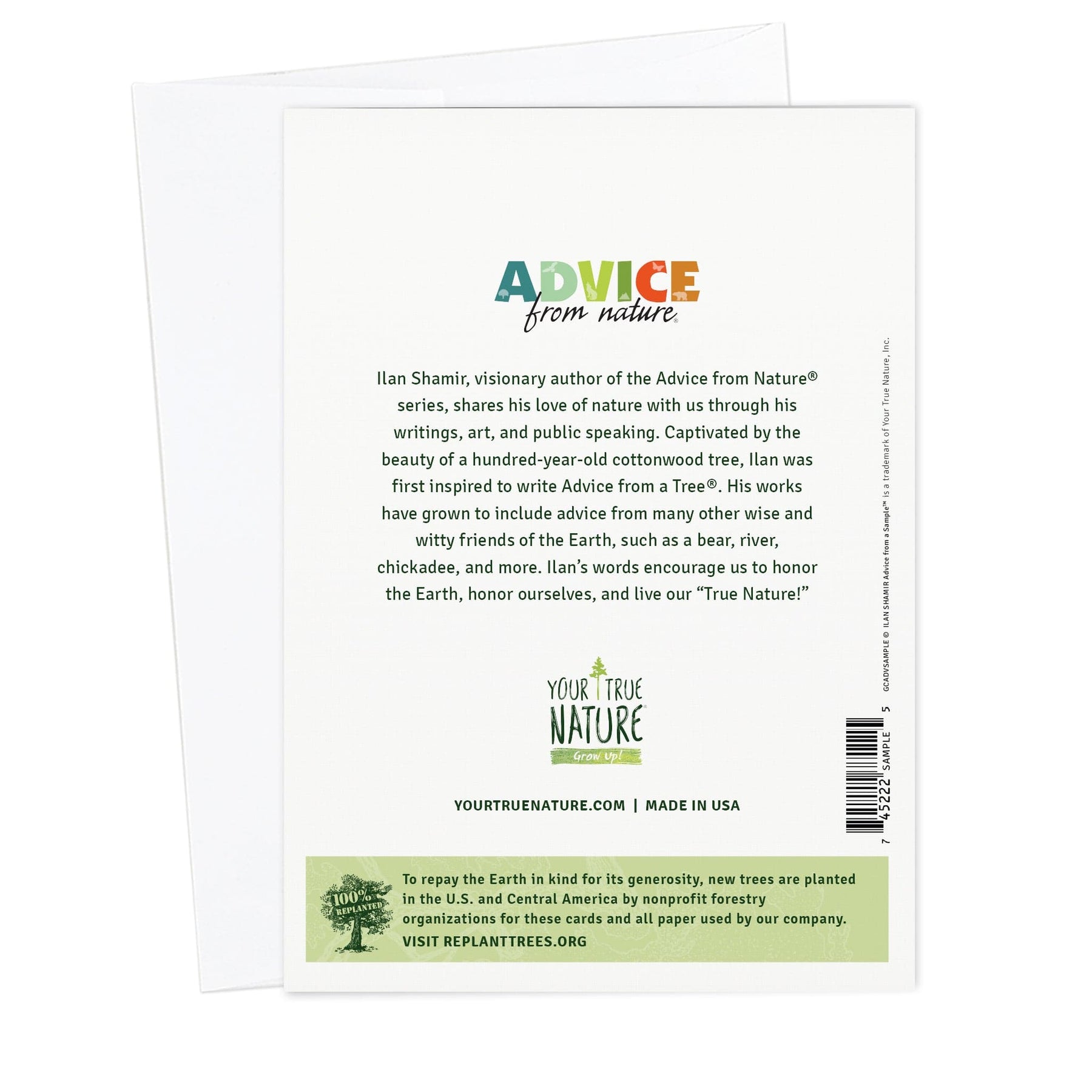 Advice from a Sunflower Greeting Card – Advice For Life