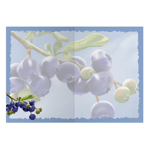 Advice from a Blueberry Greeting Card – Advice For Life
