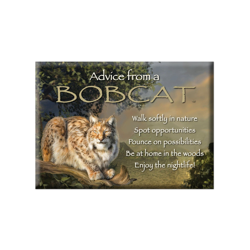 Bobcat Quotes Get Quote | Bobcat Of New Hampshire | Chichester