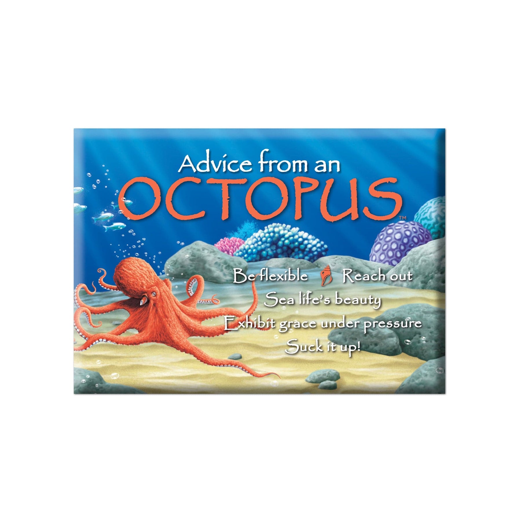 Advice from an Octopus Jumbo Magnet – Advice For Life