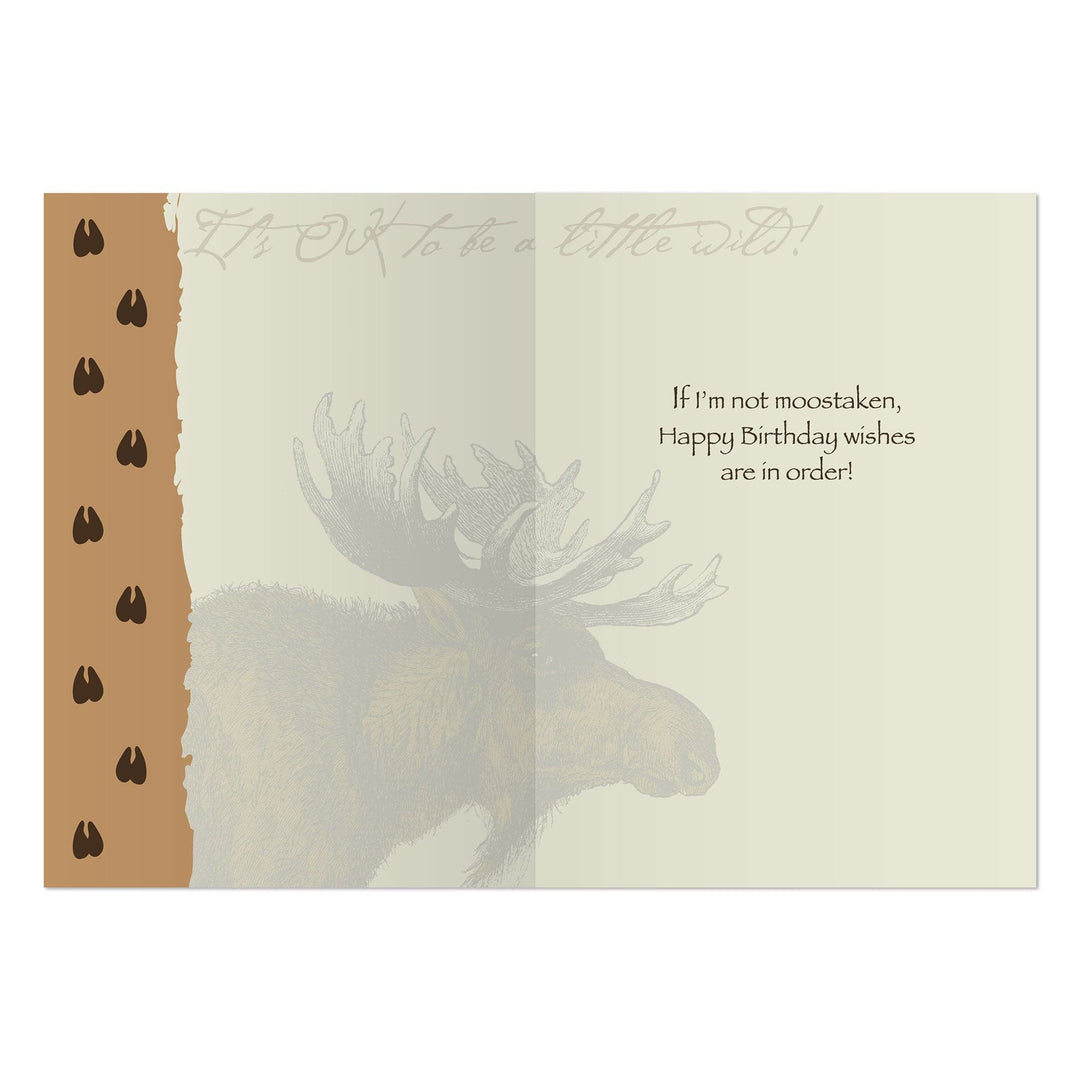 Moose Birthday Quotes Wholesale Funny Moose Birthday Card, Animal