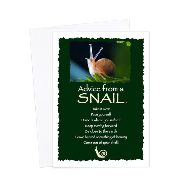 Advice from a Snail Greeting Card – Advice For Life
