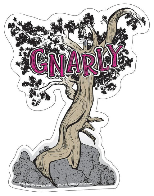 Gnarly! Large Sticker – Advice For Life